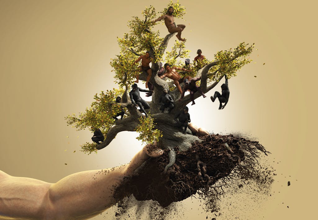 Space - Learn about the entire universe and its unsolved mysteries ...