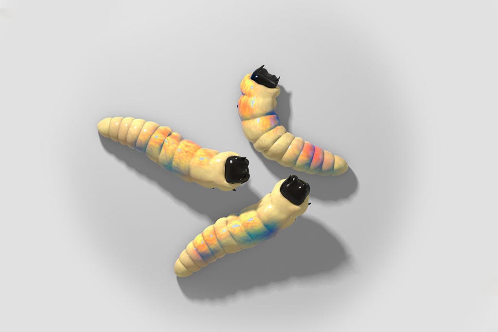 Fluen er vår nye klimahelt | illvit.no