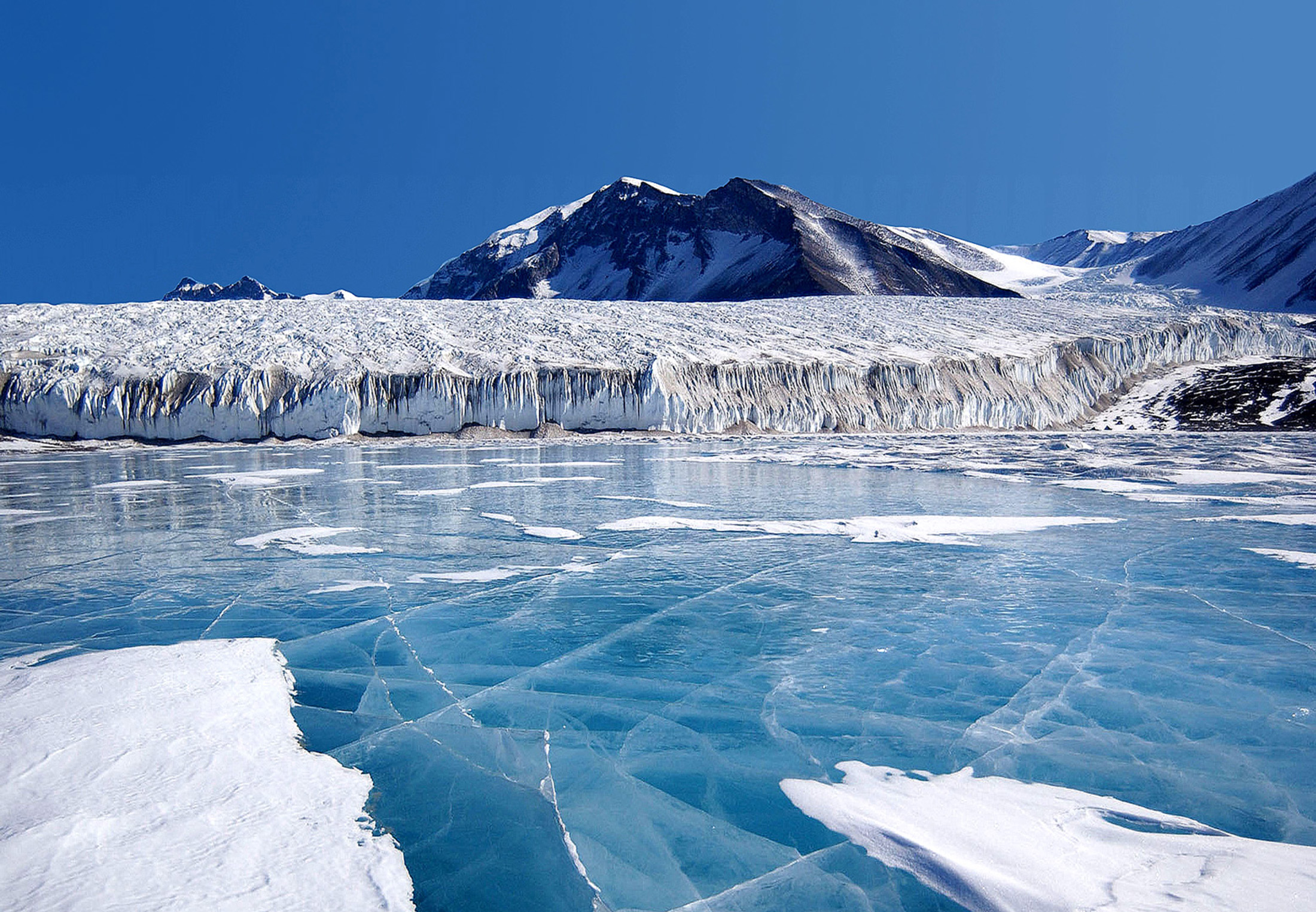 Unique discovery: mysterious Antarctic lake harboured a secret world of ...
