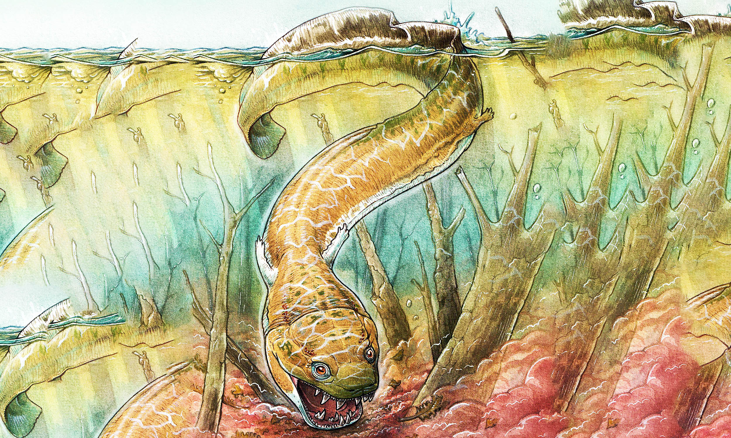 Gaiasia jennyae was toproofdier vóór de dinosauriërs | wibnet.nl