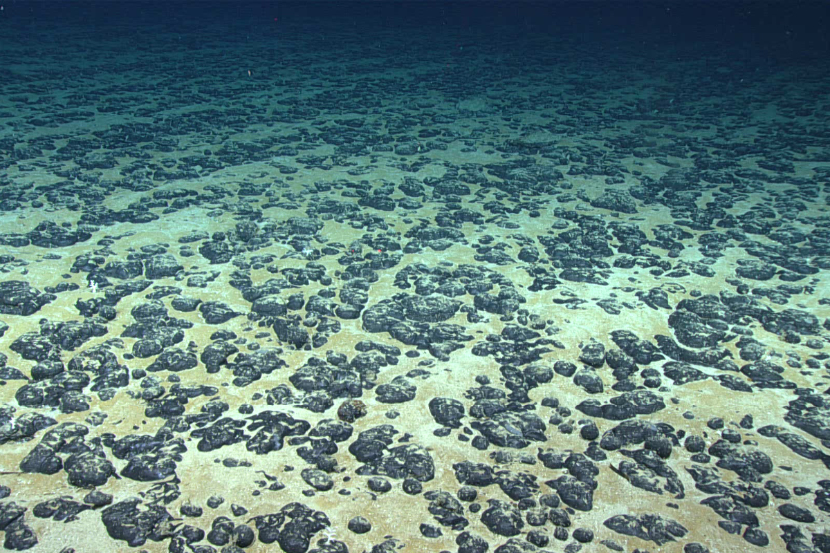 New discovery: dark oxygen gave Earth sophisticated life ...