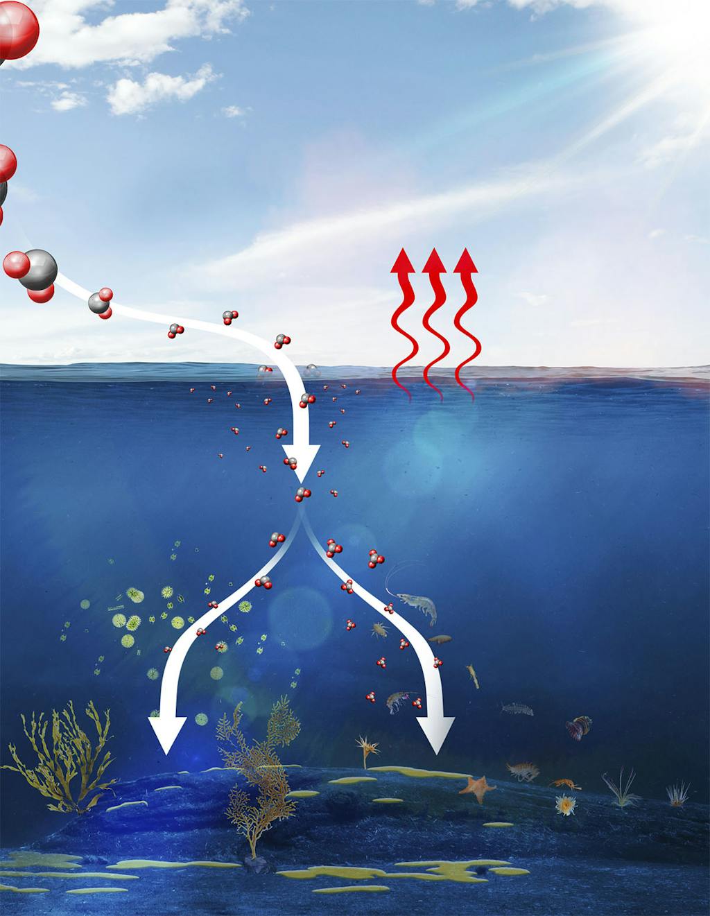 Nye teknologier trekker CO2 ut av havet | illvit.no