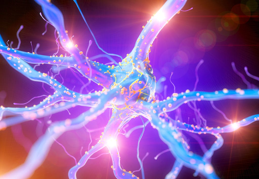 Terveys – Mitä terveys on? | tieku.fi