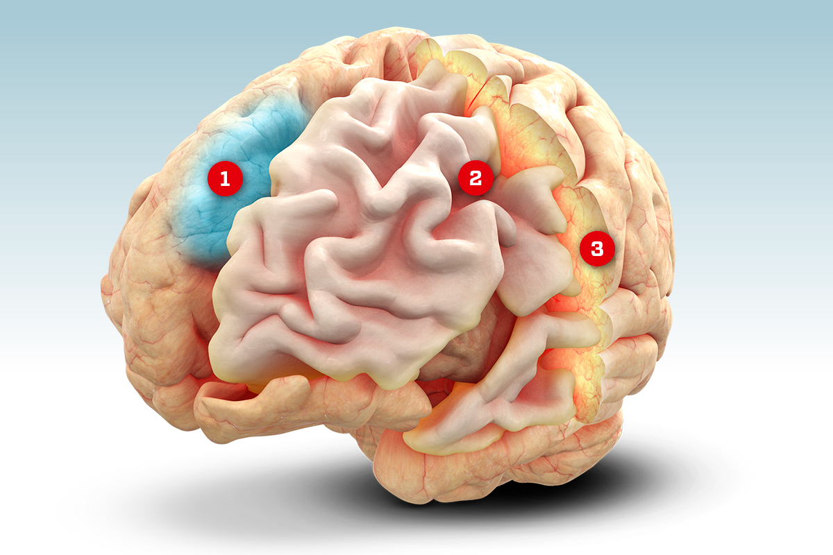 Forskare: Viss faktor i din barndom kan avgöra om du får ett långt liv ...