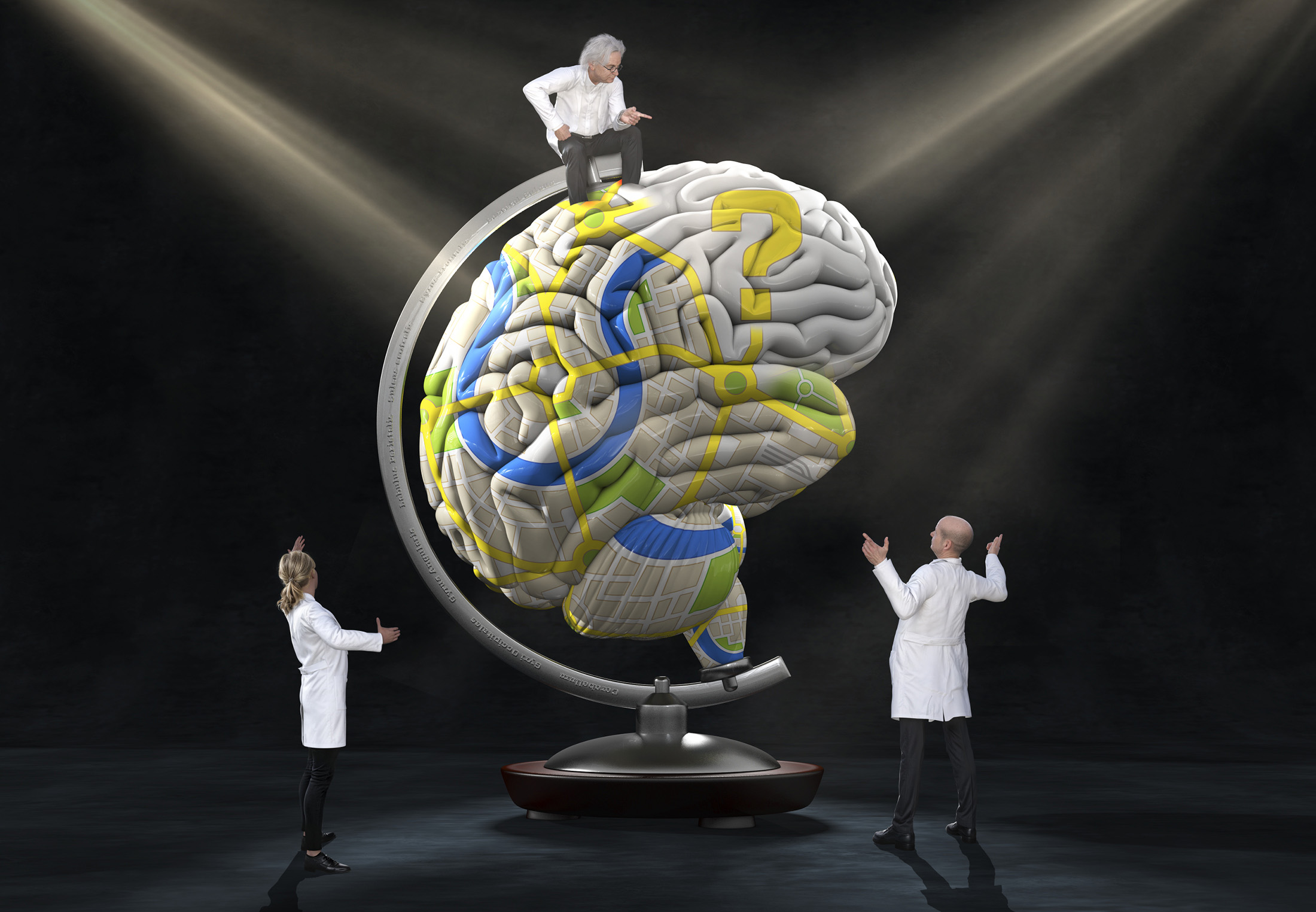 The 5 most extreme brains in the animal kingdom | scienceillustrated.com