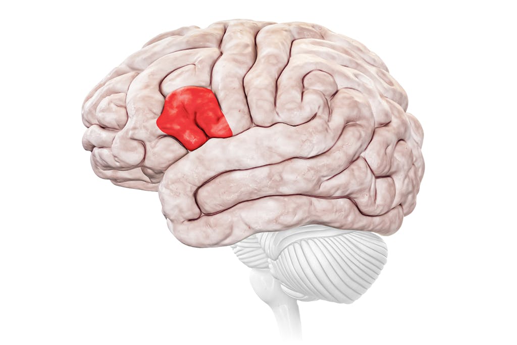 Your inner voice: understand its secrets | scienceillustrated.com