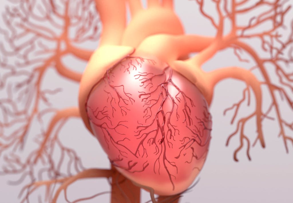 Science Illustrated - explore the world of science | scienceillustrated.com