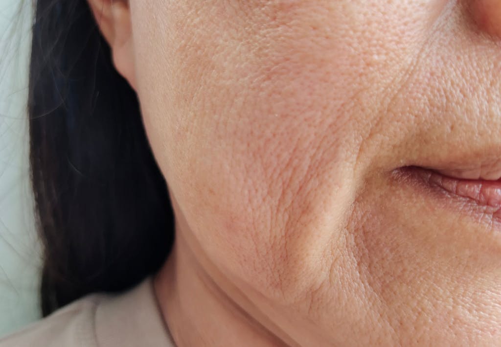 Humans | scienceillustrated.com