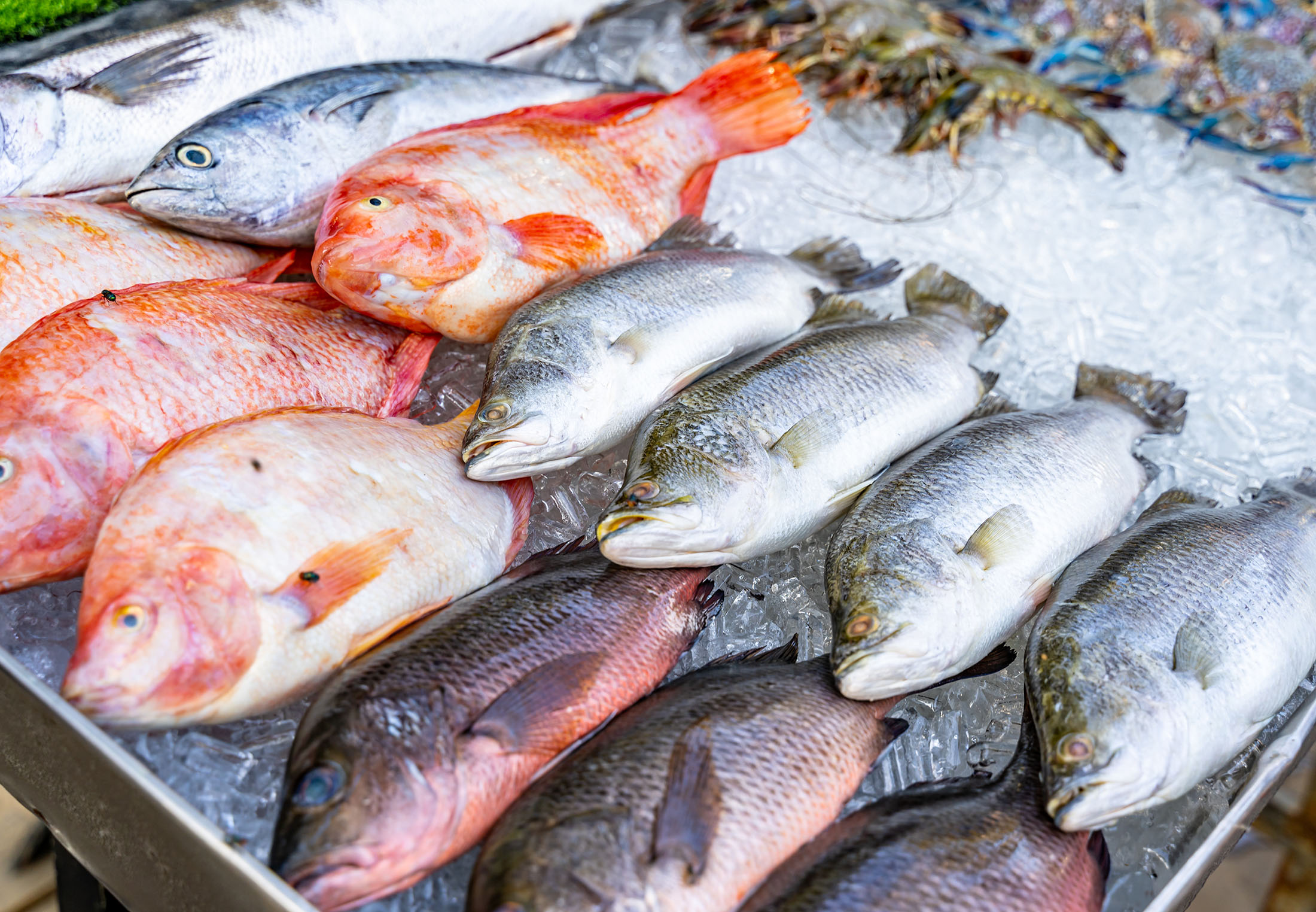 Varför luktar fisk sämre än andra köttsorter? | illvet.se