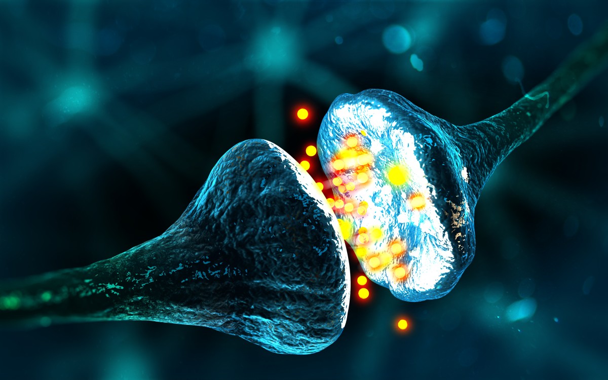 Neurotransmittor – hjärnans kemiska signalsystem | illvet.se