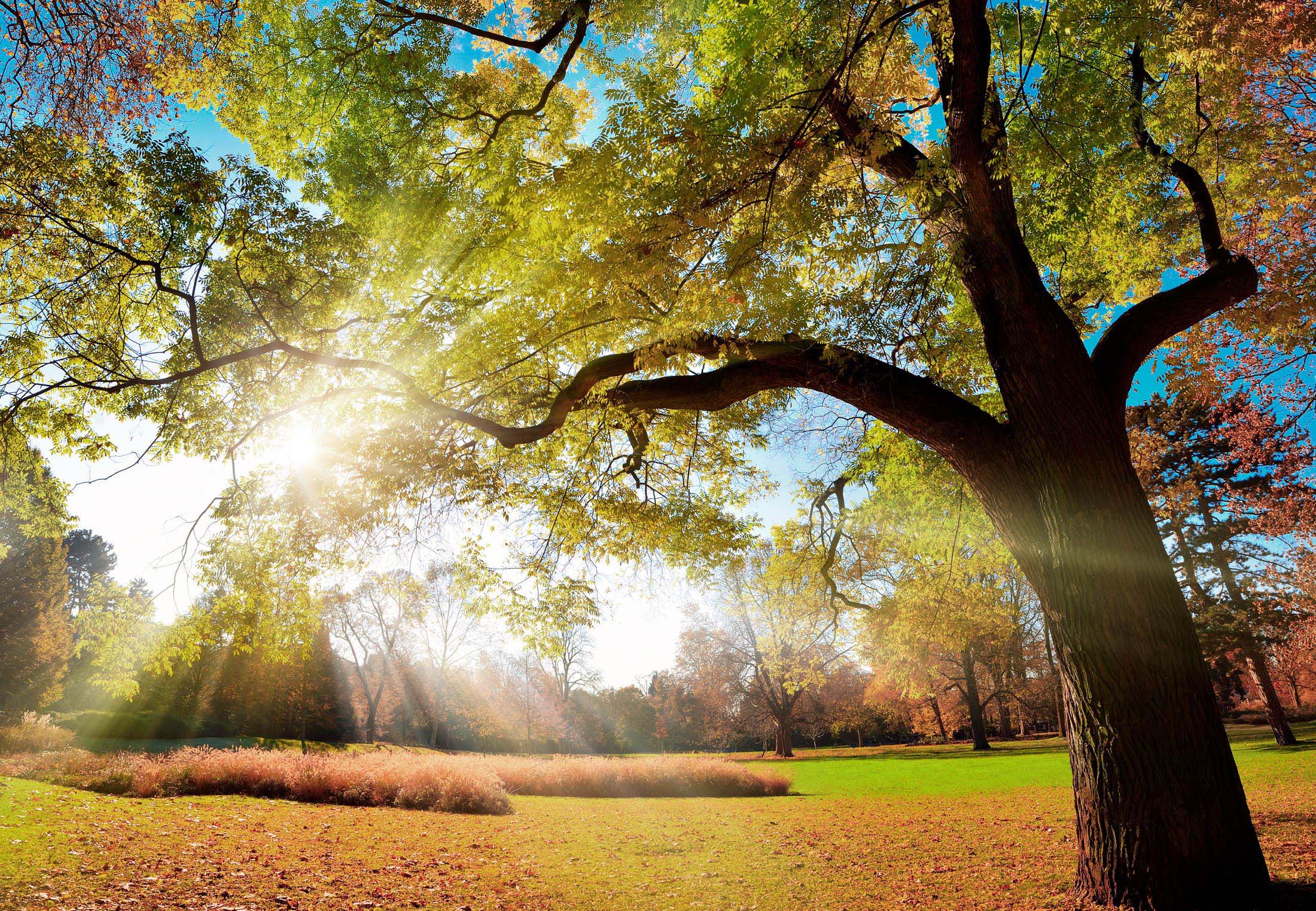 Het weer - Hoe ontstaan verschillende soorten weer? | wibnet.nl