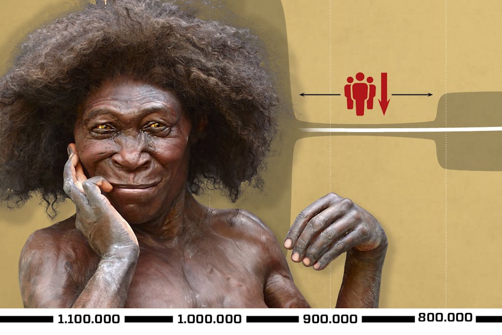 DNA analysis uproots the human family tree | scienceillustrated.com