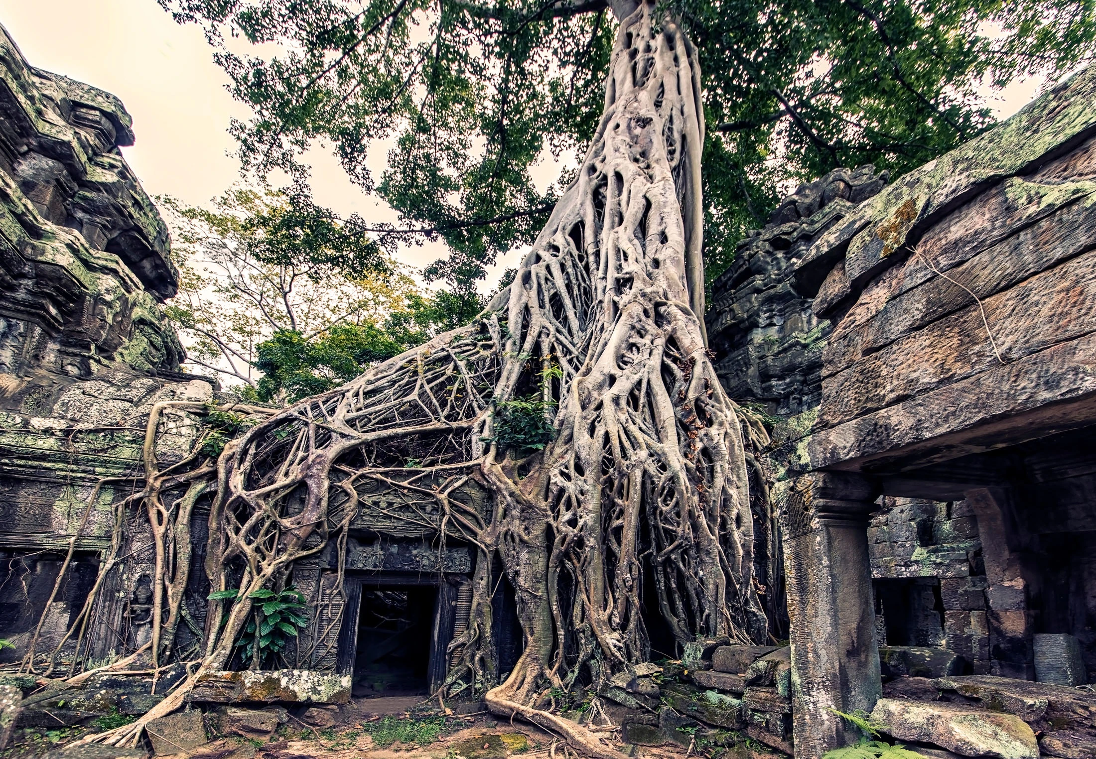 Earth after man: how the remains of our civilisation will decay ...