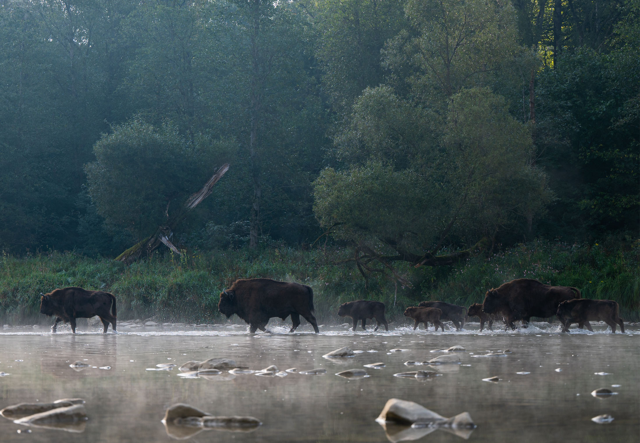 How the remains of our civilisation will decay | scienceillustrated.com