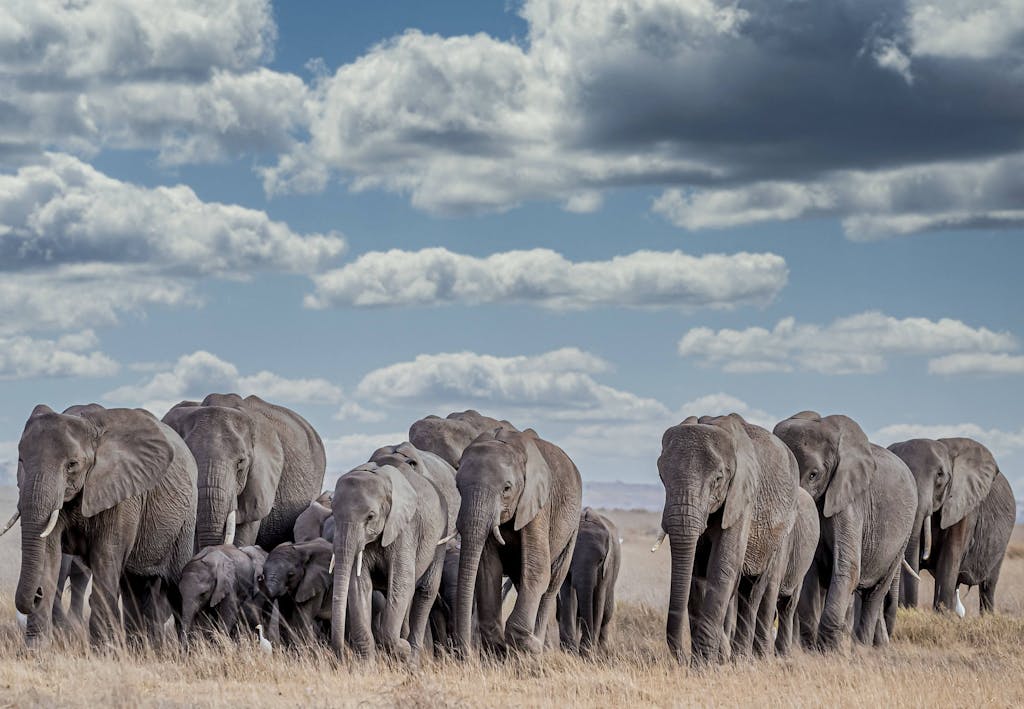 How the remains of our civilisation will decay | scienceillustrated.com