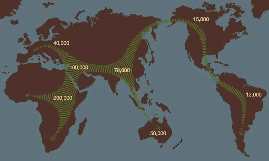 Homo sapiens | Allt om människans ursprung | illvet.se