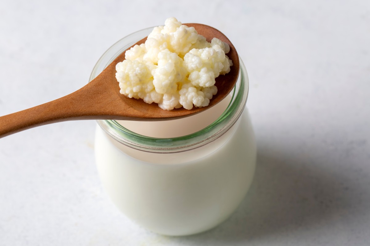Kefir: Zure melk uit de Kaukasus | wibnet.nl