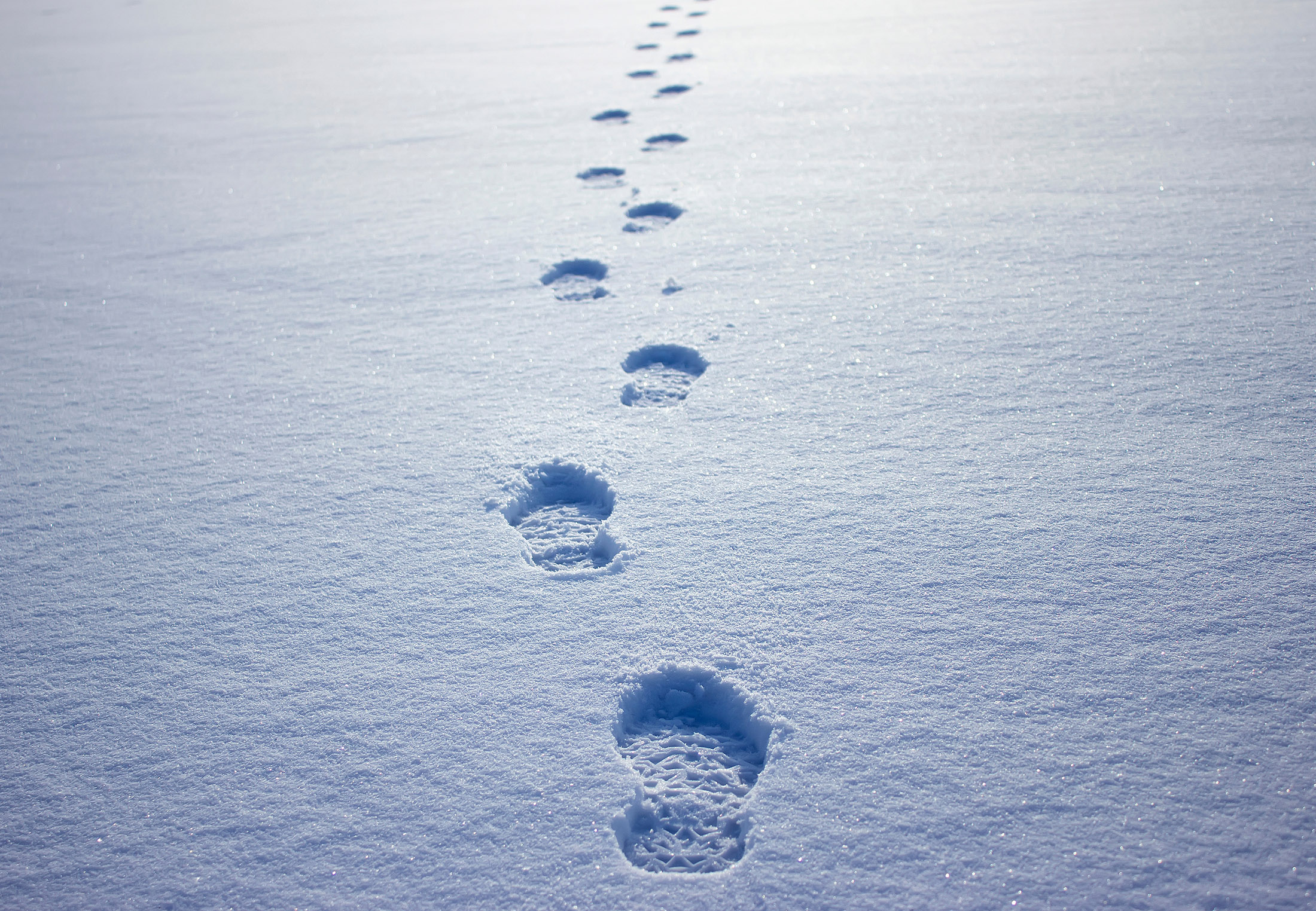 Iskrystaller får sne til at lave den kendte knirkelyd | illvid.dk