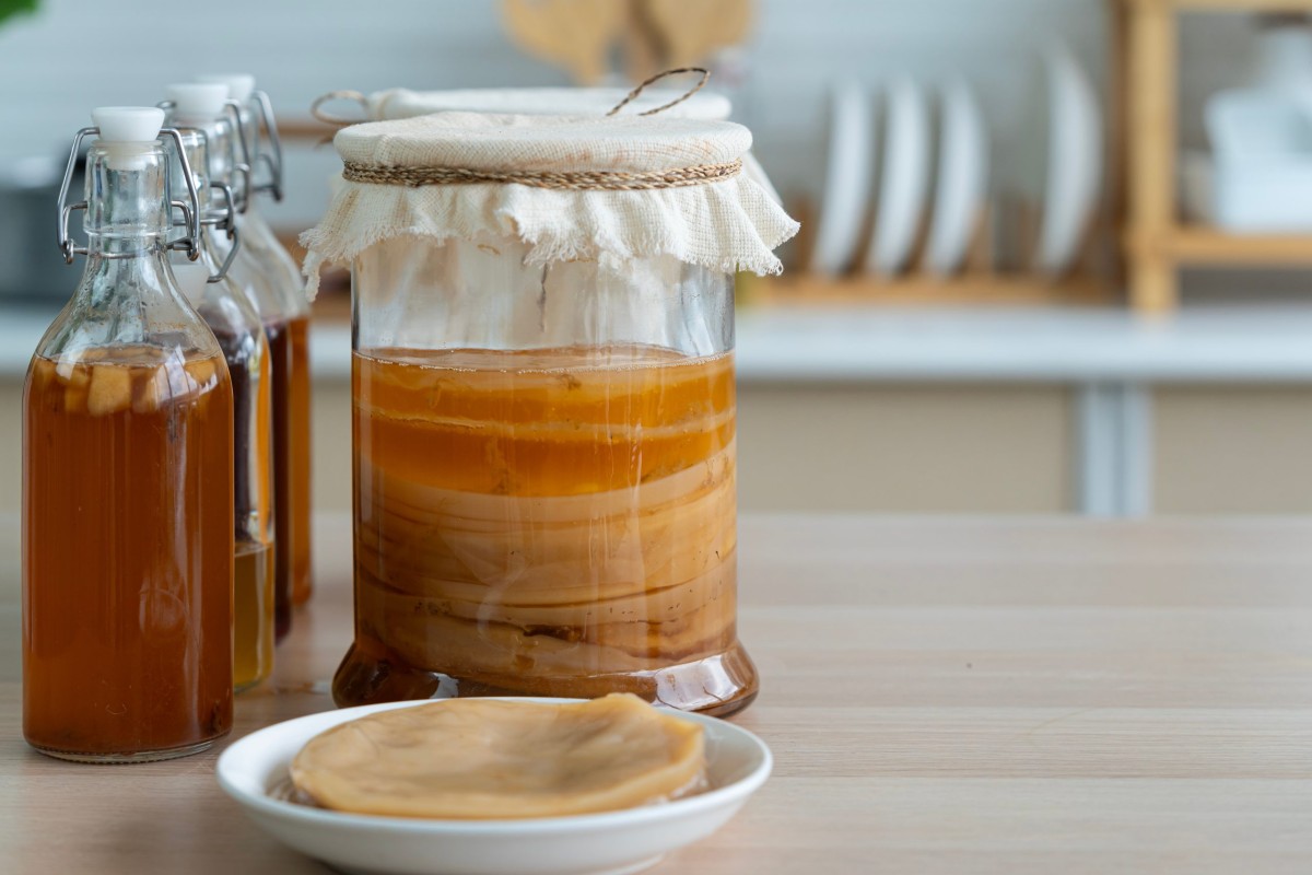 Kombucha – daarom moet je het drinken | wibnet.nl