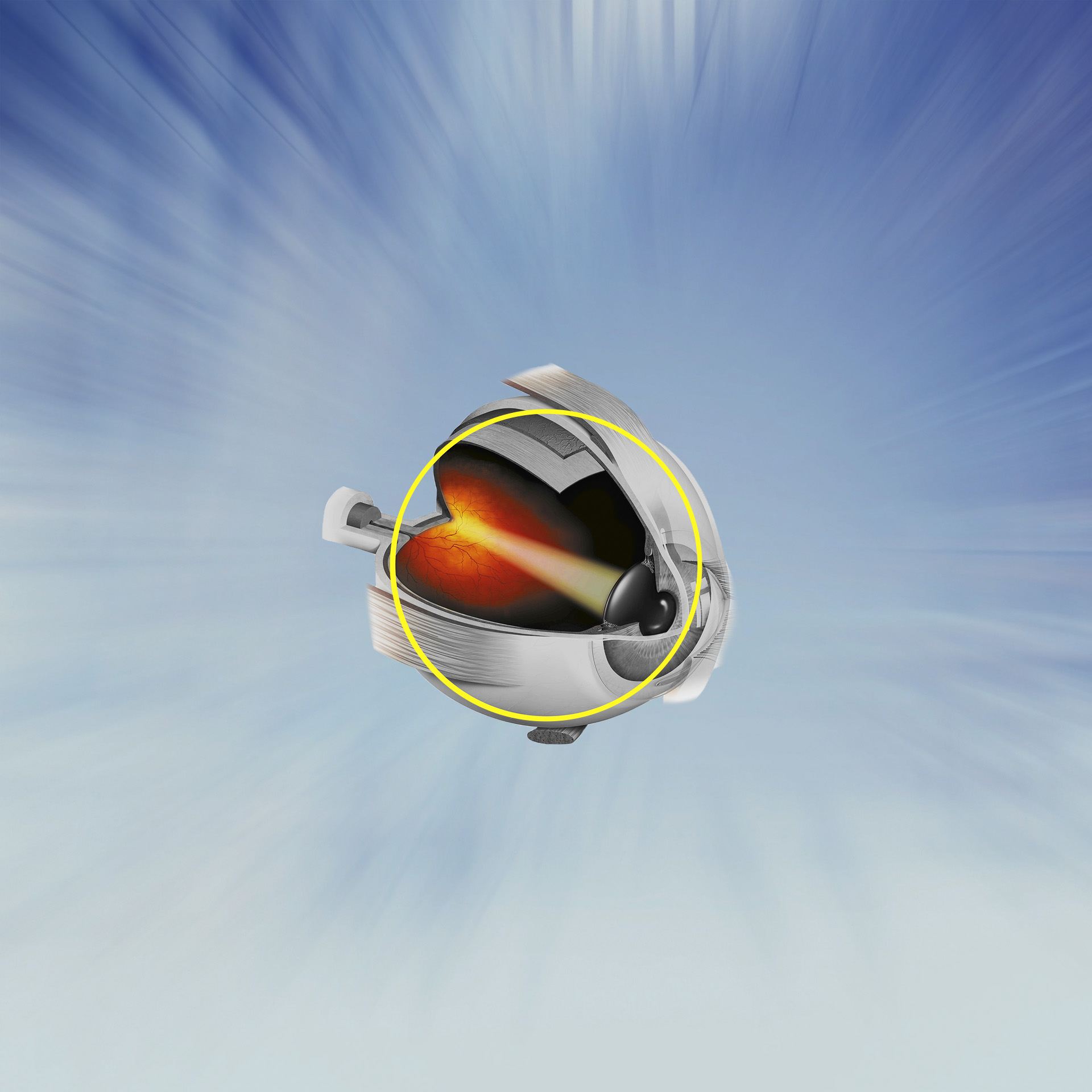 Färgblindhet: Hur ser en färgblind person? | illvet.se