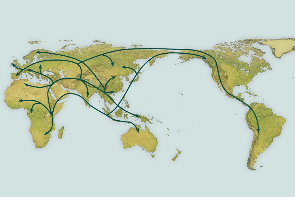 Who are our ancestors? | scienceillustrated.com