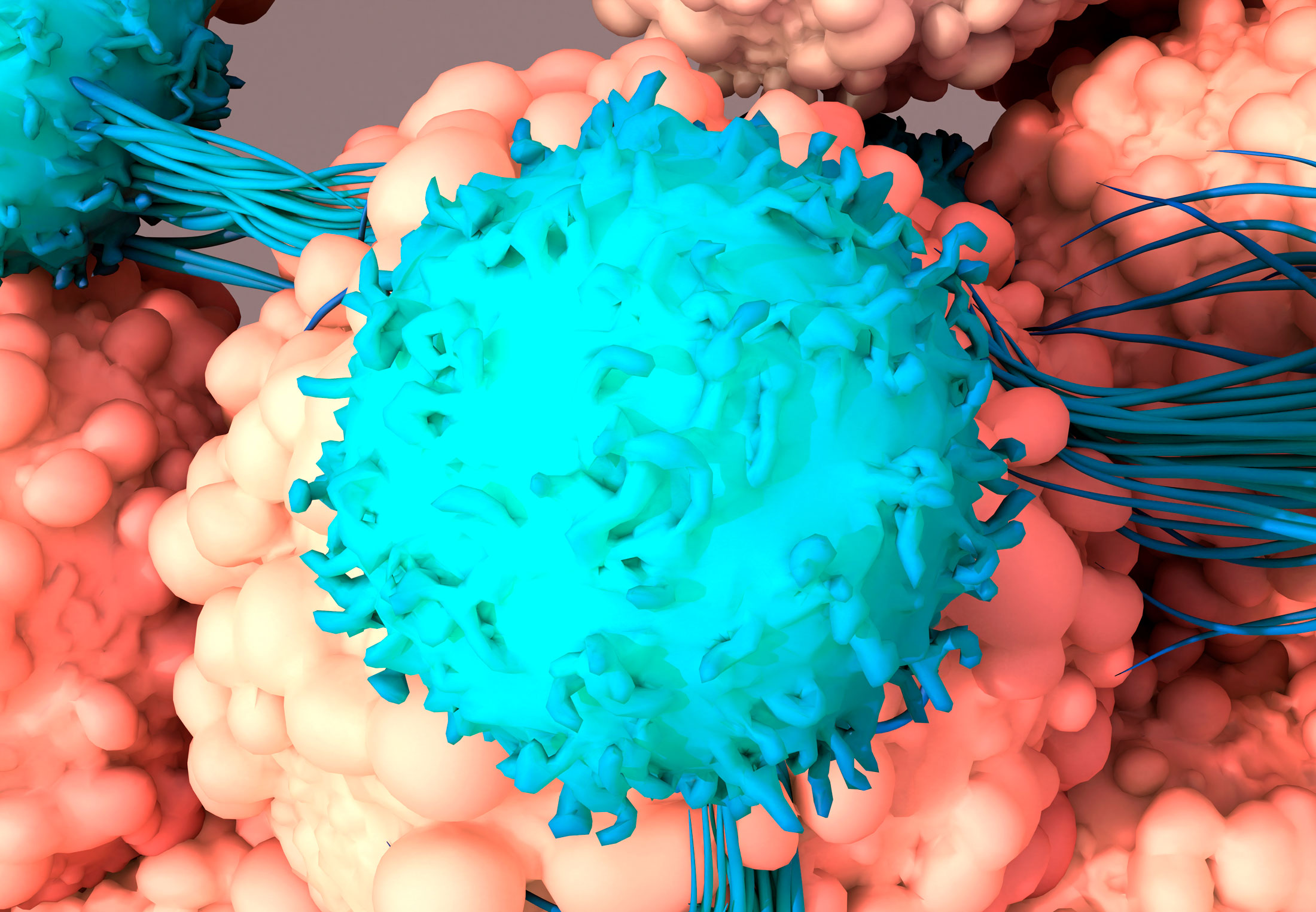 Behandling med genmodifiserte T-celler har holdt en kvinne kreftfri i ...