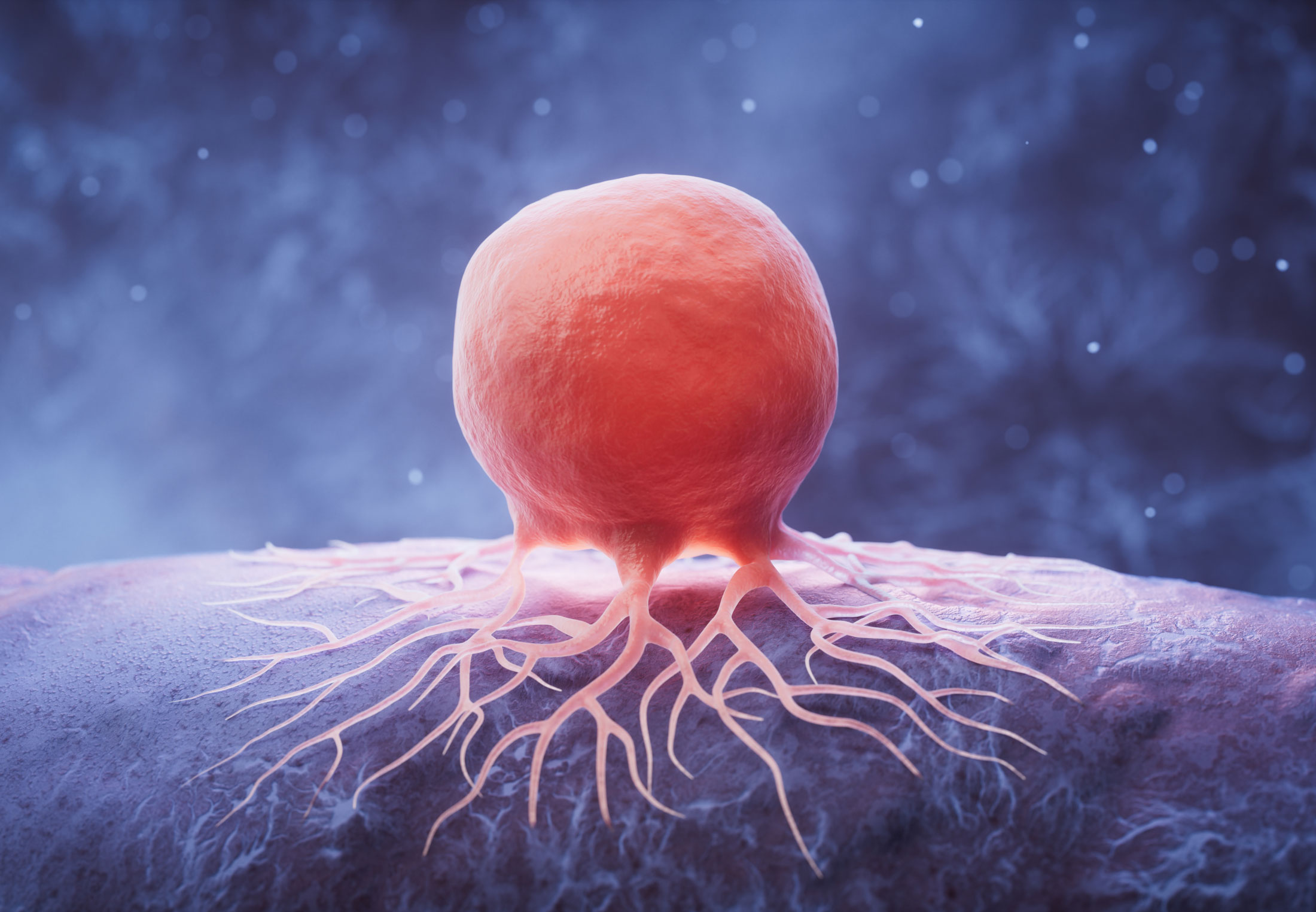 Researchers starve cancer cells by blocking glutamine metabolism ...