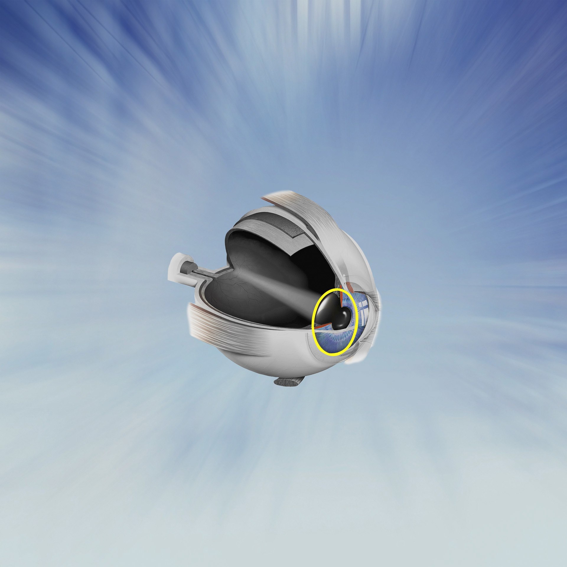 Fargeblindhet: Hvordan ser en fargeblind? | illvit.no