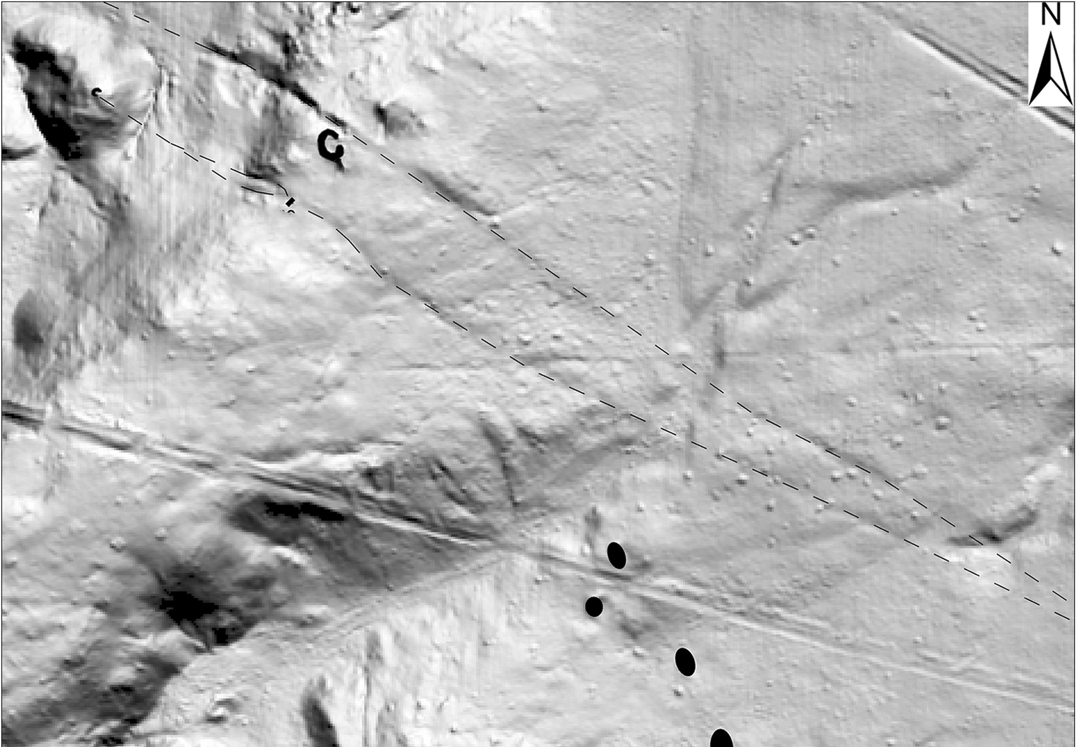 Humans | scienceillustrated.com