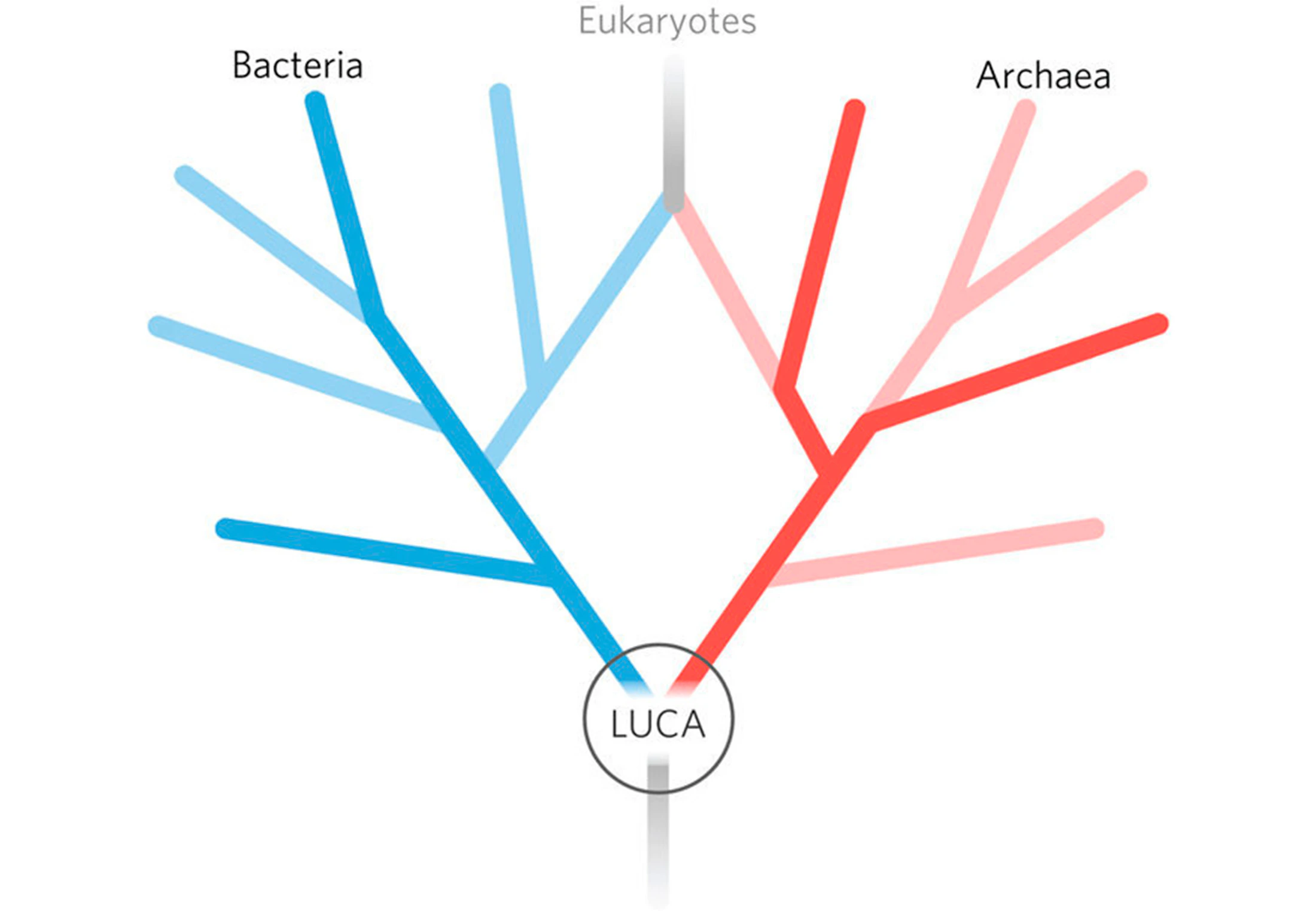 Life on Earth may have originated much earlier than we thought ...