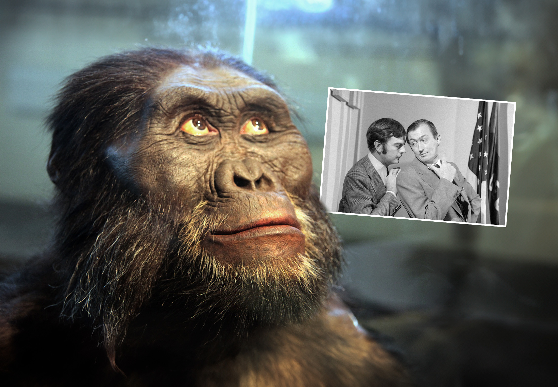 Evolution | illvet.se