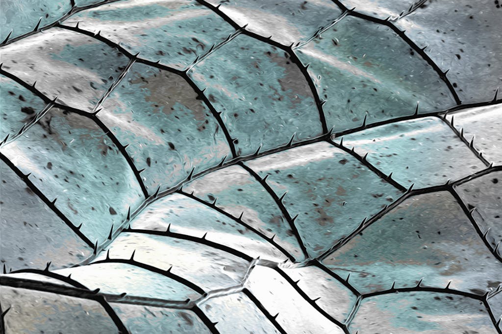 Insects invented nature's best tricks | scienceillustrated.com