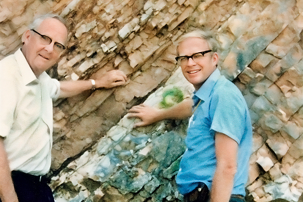 How did the dinosaurs go extinct? | scienceillustrated.com