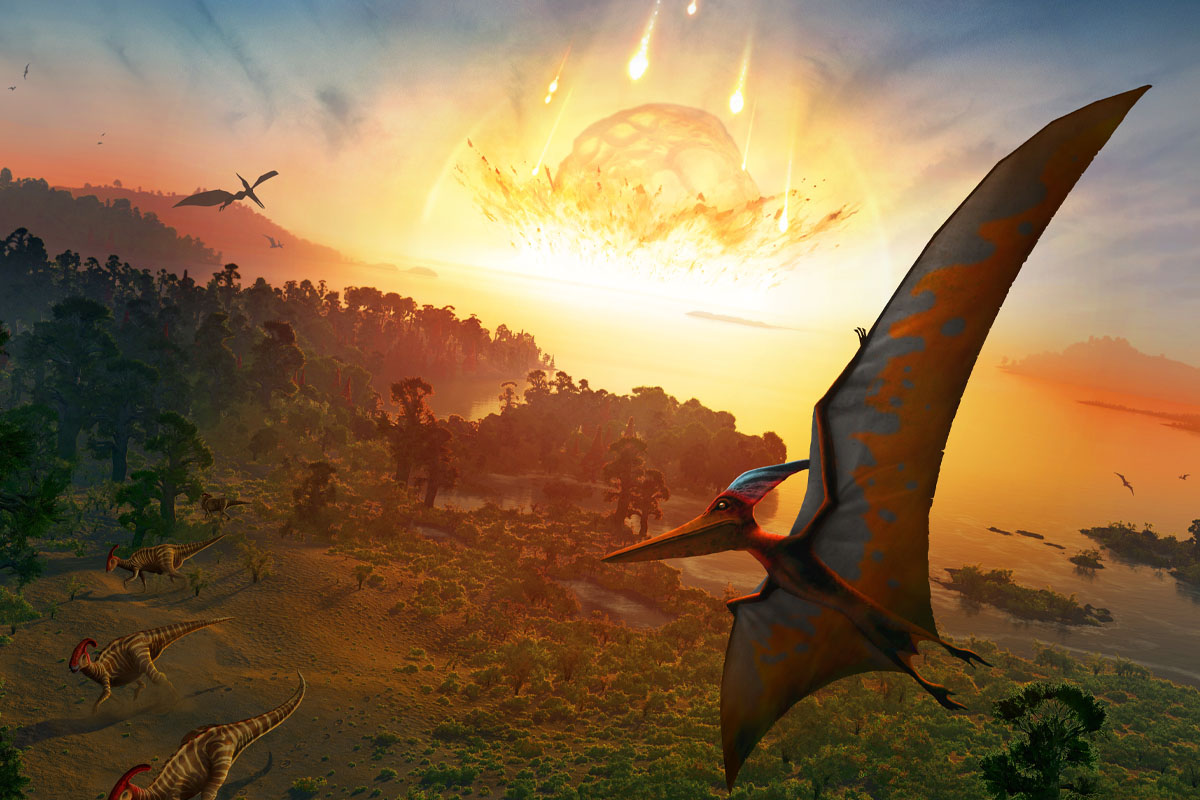 Zo zit het: Daarom werd het dierenleven op aarde 5 keer weggevaagd | wibnet.nl