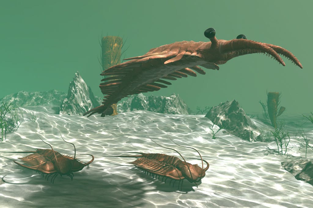 Massa-extincties zetten het leven 5 keer op zijn kop. | wibnet.nl