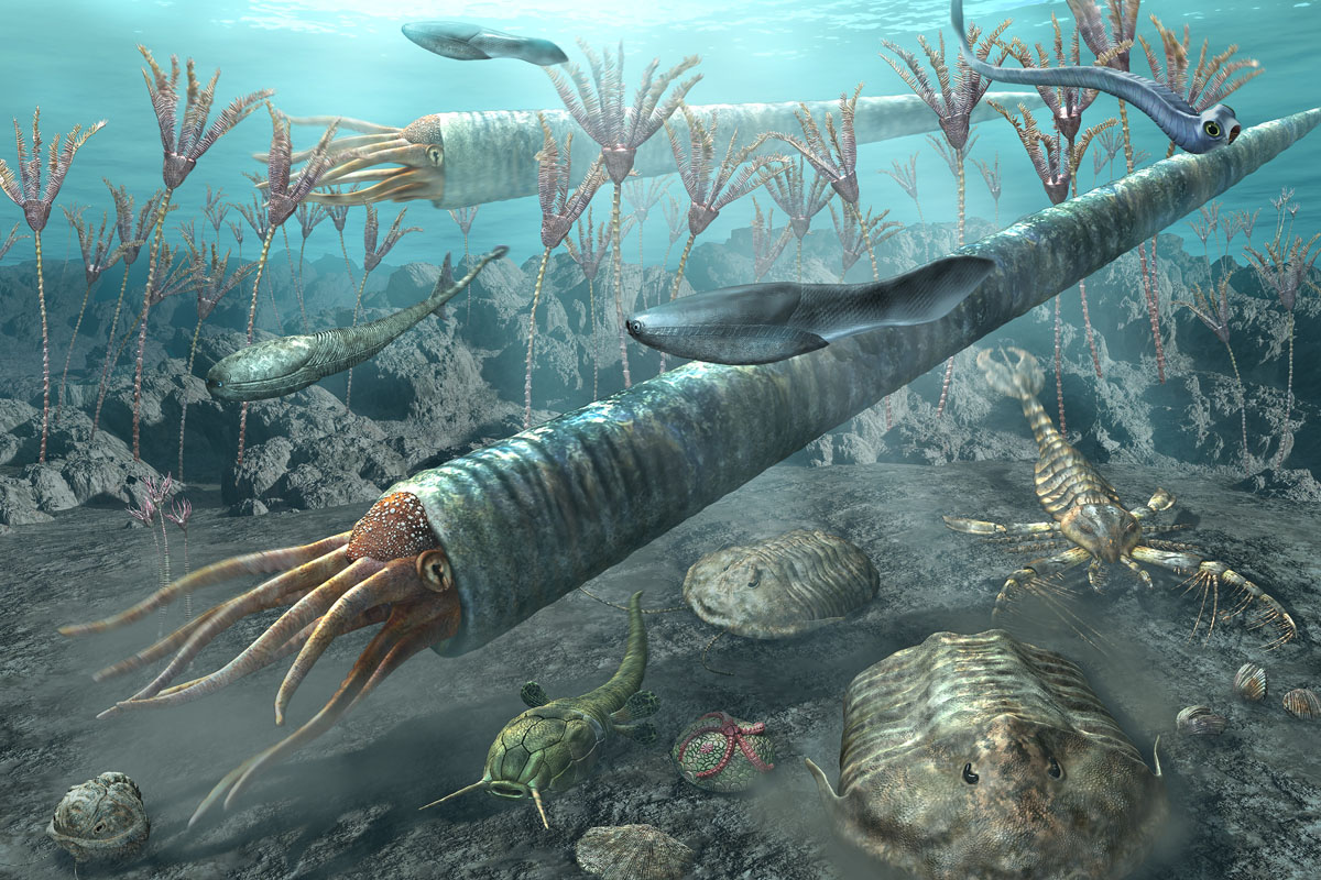 Massa-extincties zetten het leven 5 keer op zijn kop. | wibnet.nl