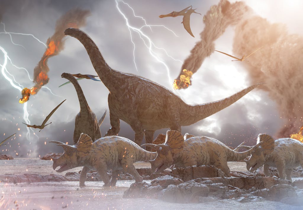 När dinosaurierna dog ut utvecklades fåglarna | illvet.se