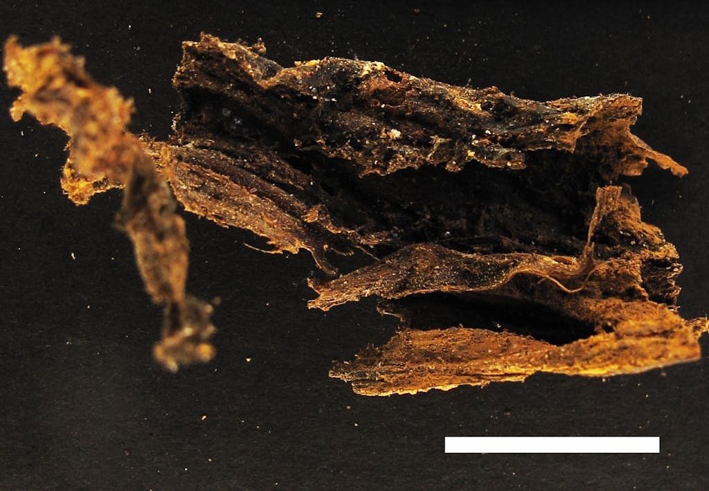 Eurooppalaista mahtisukua riivannut tappaja löytyi | tieku.fi