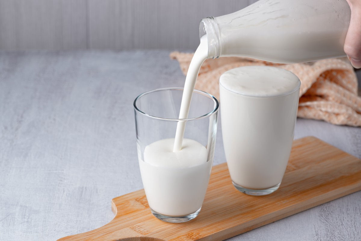 Kefir: Zure melk uit de Kaukasus | wibnet.nl