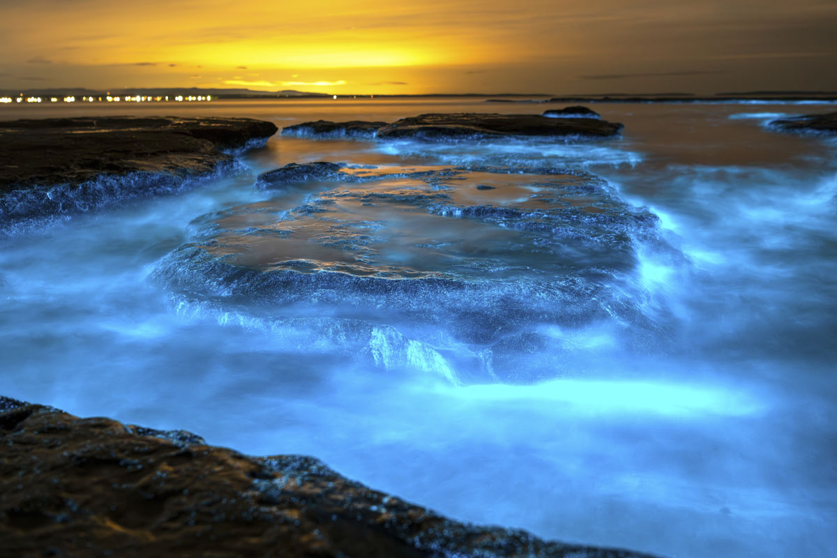 Bioluminescence - animals switched on the light over and over again ...