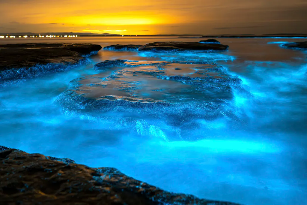 Bioluminescence - animals switched on the light over and over again ...