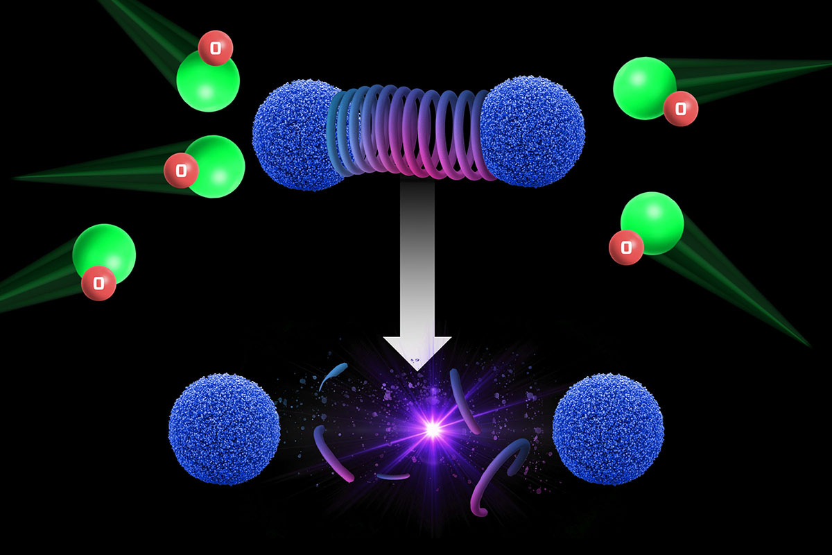 Bioluminescence - animals switched on the light over and over again ...