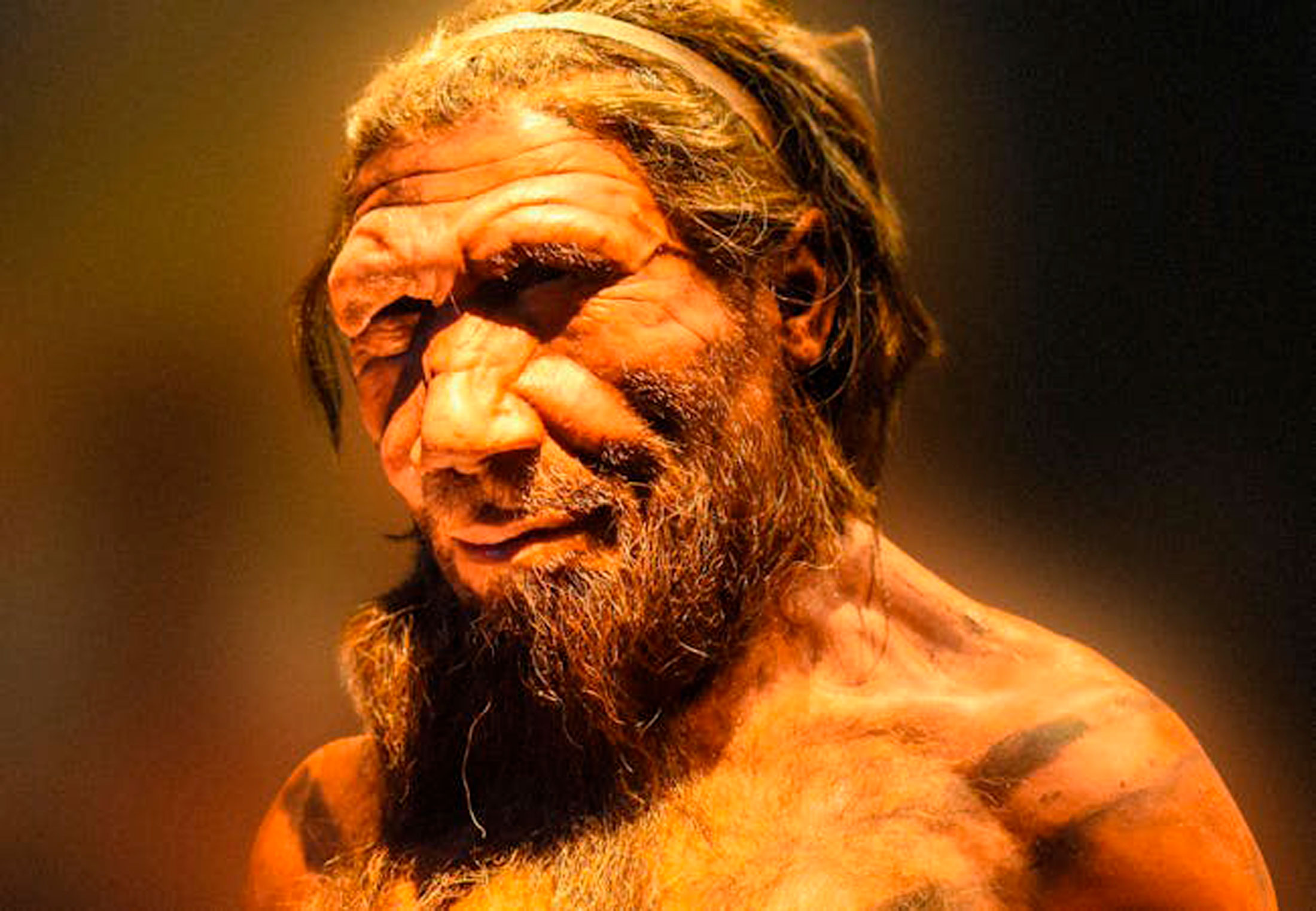 Speciale ribben maakten Neanderthalers mogelijk extreem sterk | wibnet.nl