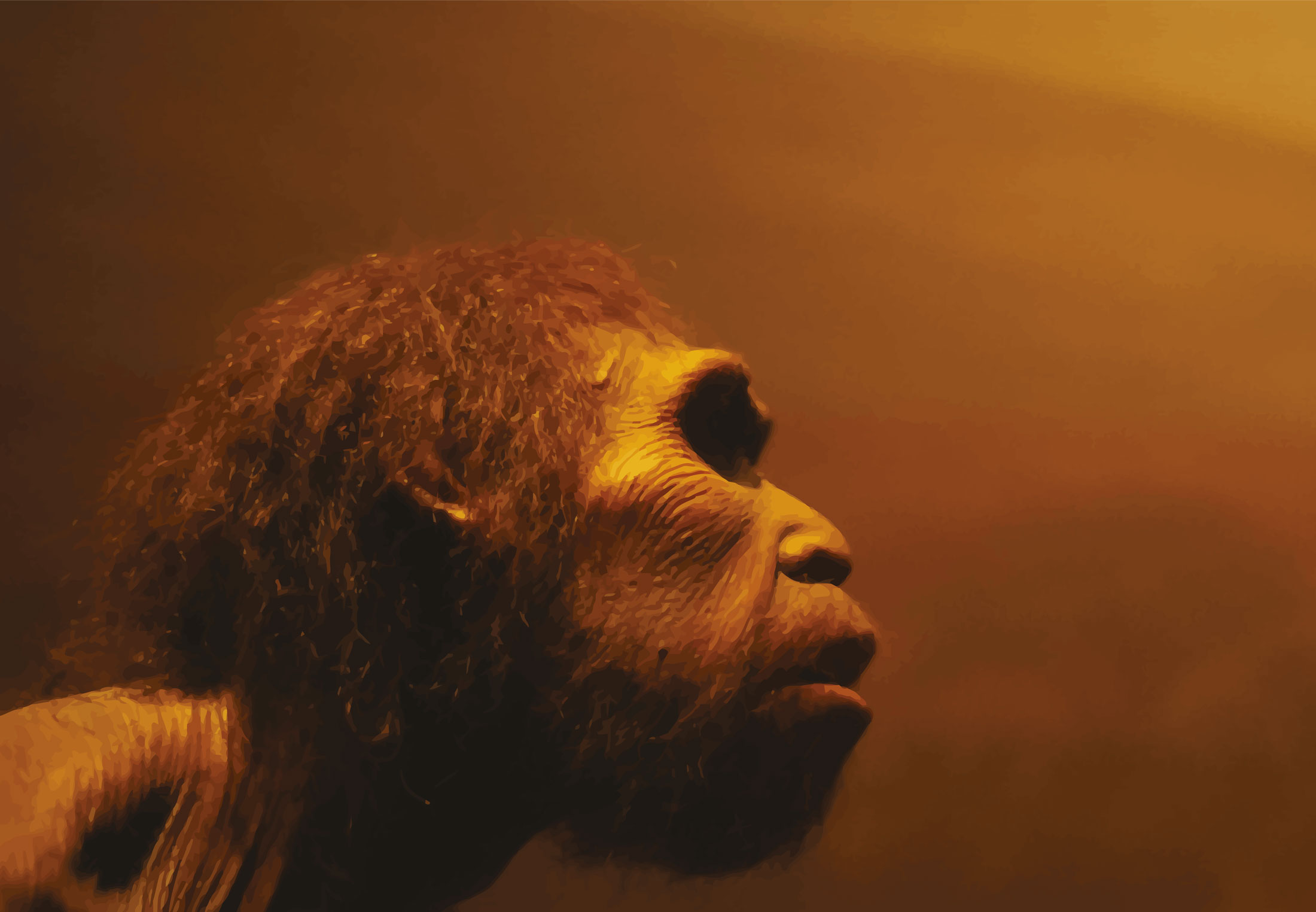 Bloedgroep van Neanderthalers kan een rol hebben gespeeld bij hun ...