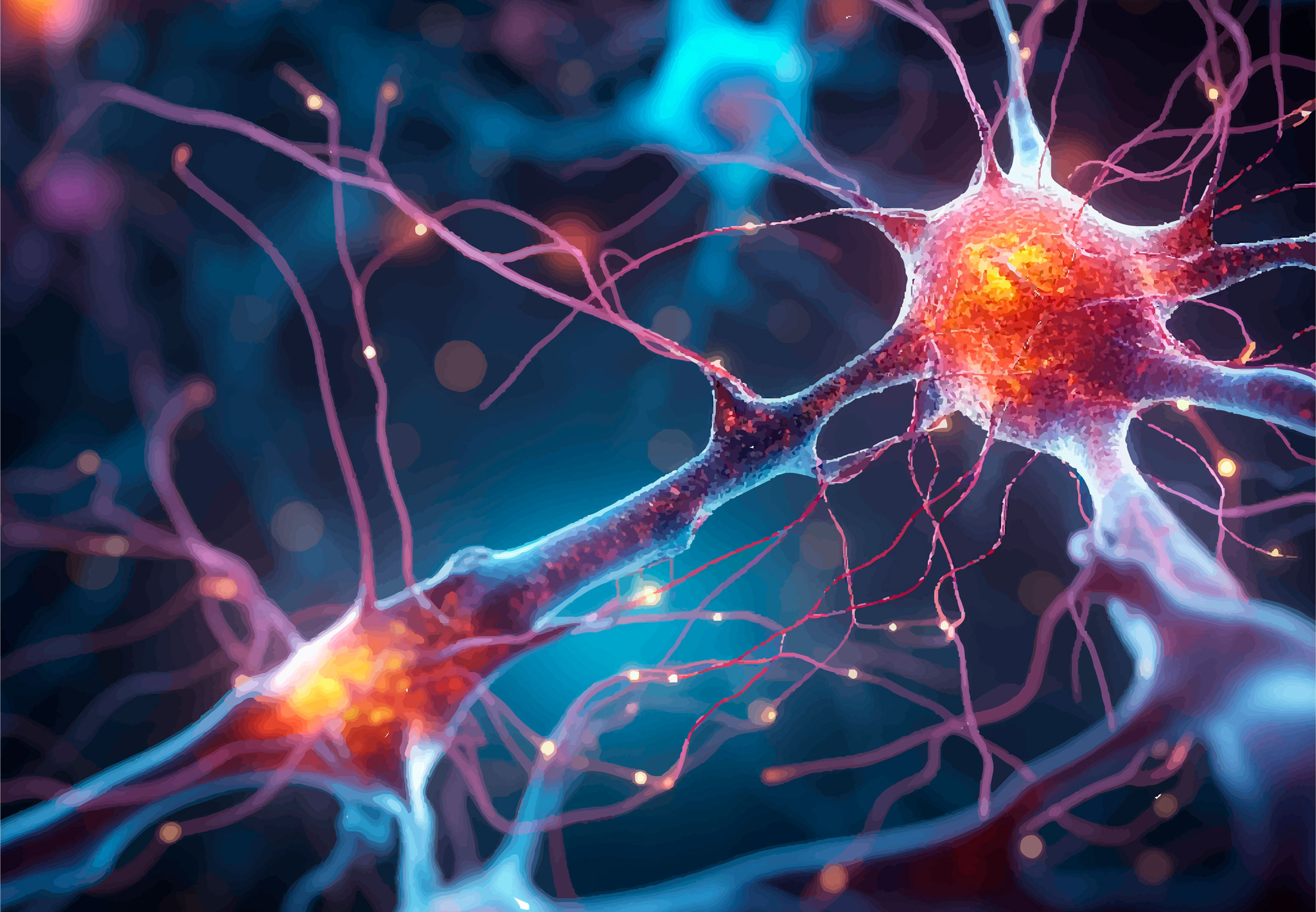 Bara 22 gram om dagen av populär matvara kan öka risken för demens ...