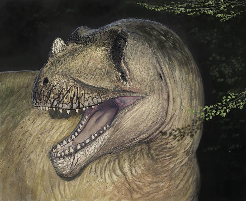 Extraordinary discovery: researchers find brand new dinosaur species in ...