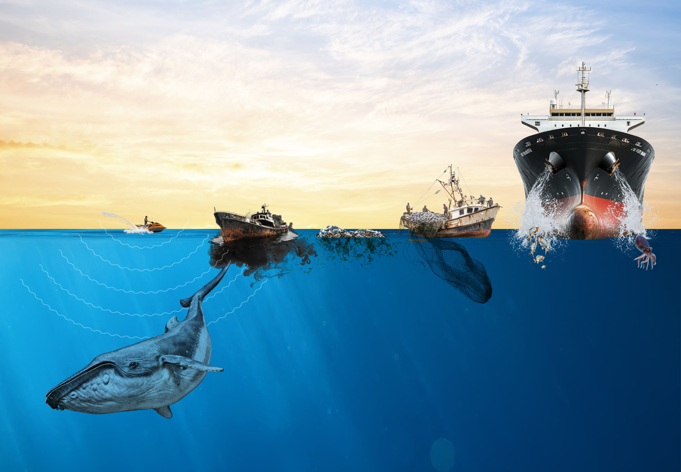 Tieteen Kuvalehti – tutkimusmatkalla tieteen maailmassa | tieku.fi