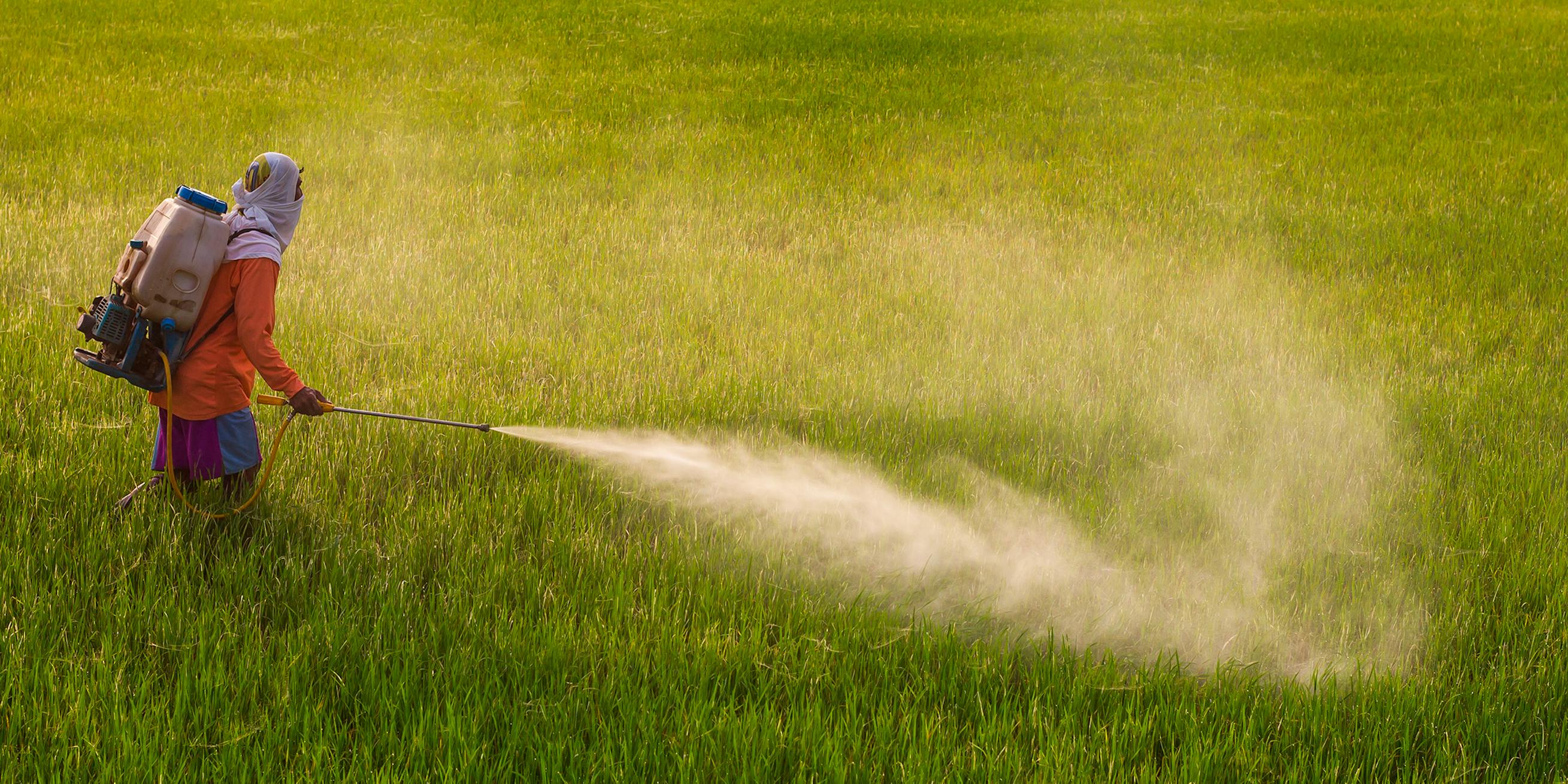Scientists: this creature may replace particular pesticides in the ... Scientists: this creature may replace particular pesticides in the ...