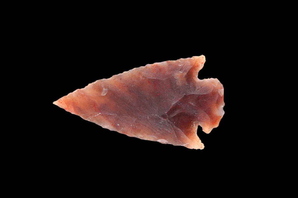 Modern man: what you need to know about the naked ape ...