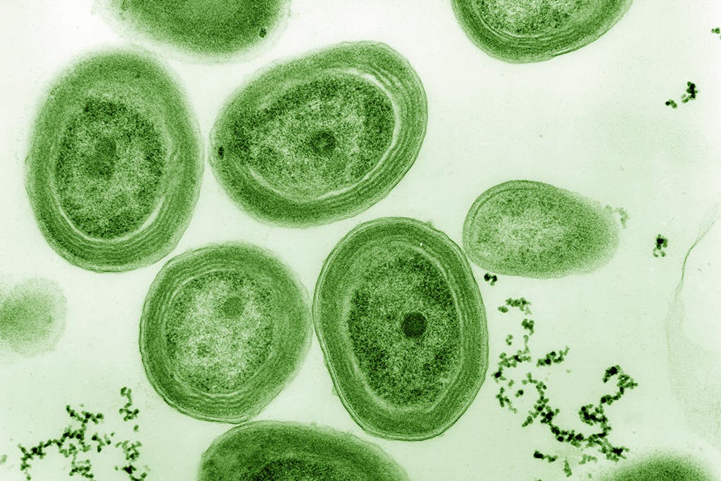 ปริศนาทางวิทยาศาสตร์ที่ใหญ่ที่สุด ชีวิตเกิดขึ้นได้อย่างไร?